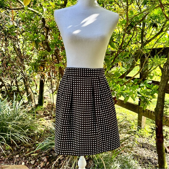 Francesca's Collections | Skirts | Nwt Francesca Pleated Skirt With ...